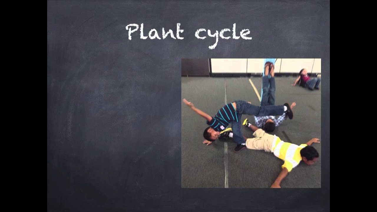 Vicky Kathleen Cycles 2014 - YouTube