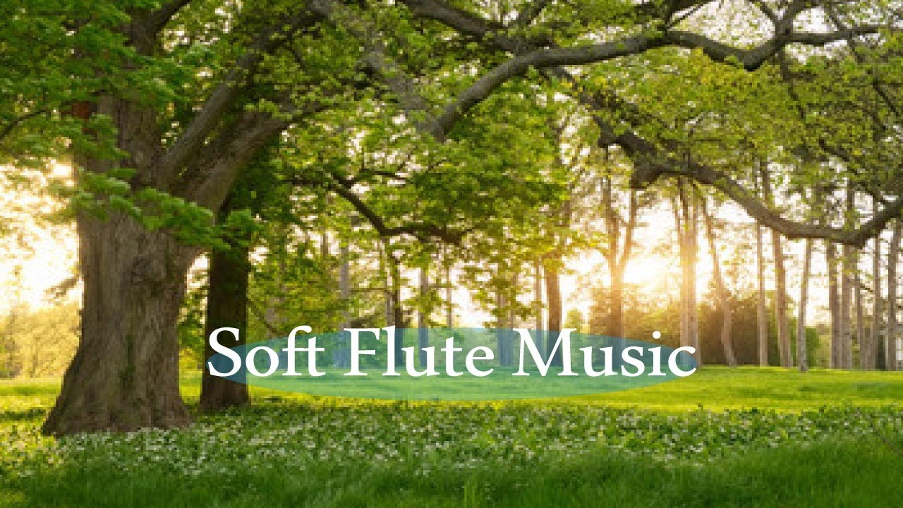Soft Flute Sounds! calming and soothing experience - YouTube