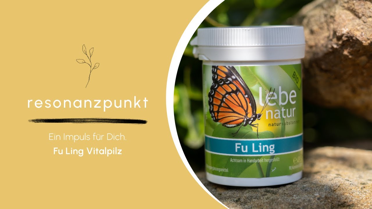 Vitalpilz Fu Ling - ein Juwel der TCM - YouTube