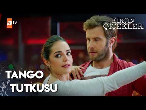Feride ve Toprak tango kursunda - Kırgın Çiçekler 20. Bölüm