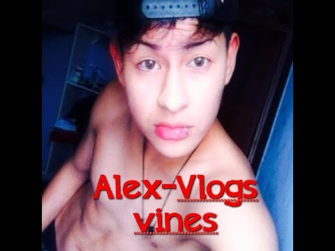 ---VINES--- alex -vlogs--- - YouTube