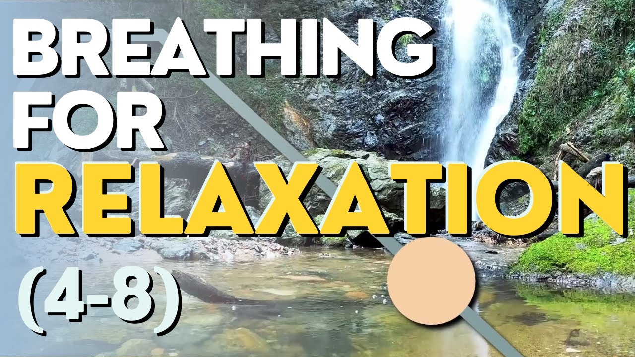 Calming Breathing Exercise for Relaxation - YouTube