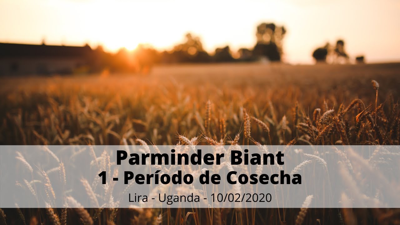 01 Parminder Biant - Período de cosecha - YouTube