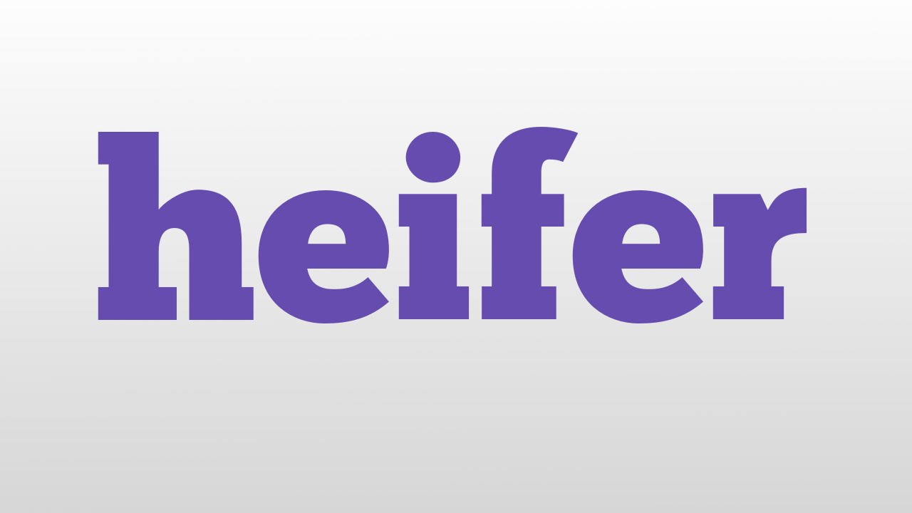 heifer meaning and pronunciation - YouTube