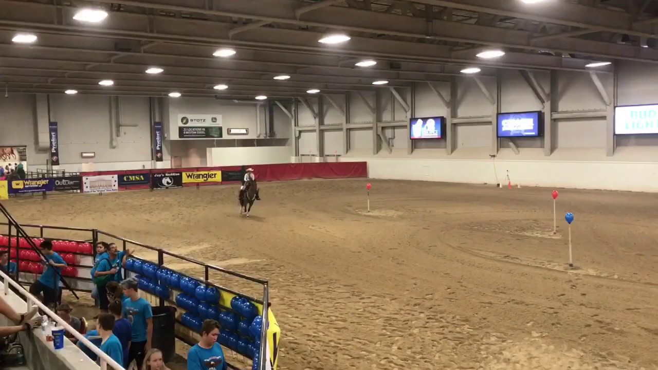 AQHA stages 1 and 2 - YouTube