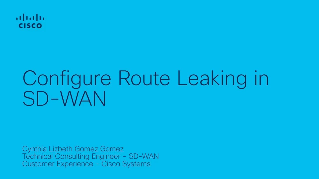 How to Configure Route Leaking in SD-WAN | Simplify Network Routing ...