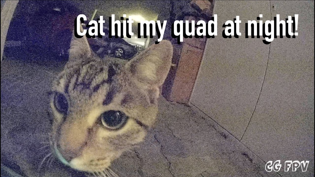 Cat hit my quad mid air at night! - Winter night tiny whooping #fpv # ...