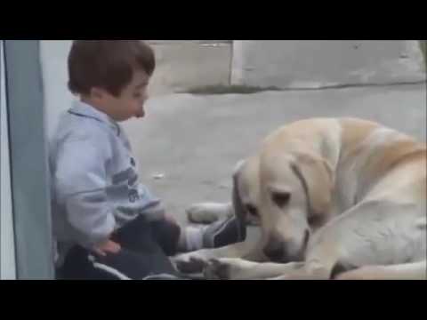 Down Sendromlu Çocuk ile Köpeğin Dostluğu