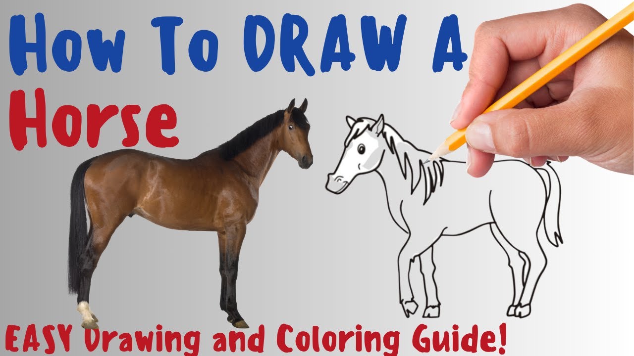 How To Draw A Horse - FUN and EASY Drawing and Coloring Tutorial - YouTube
