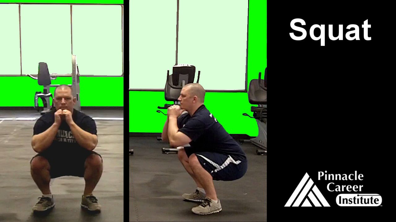 Squat - Exercise Technique Lab - YouTube