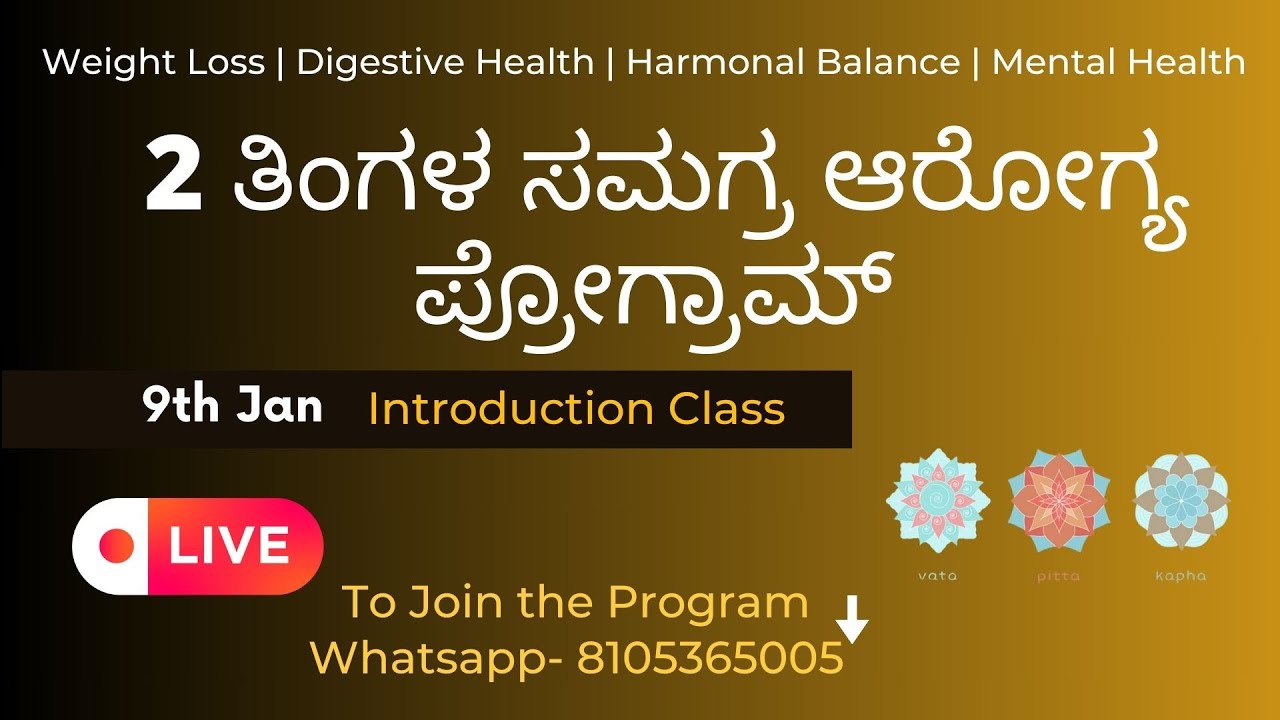 Holistic Wellness Program - Introduction Class - YouTube