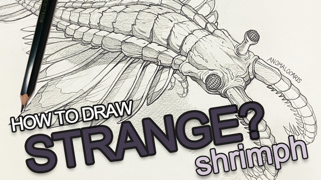 How to draw the prehistoric monster anomalocaris - YouTube