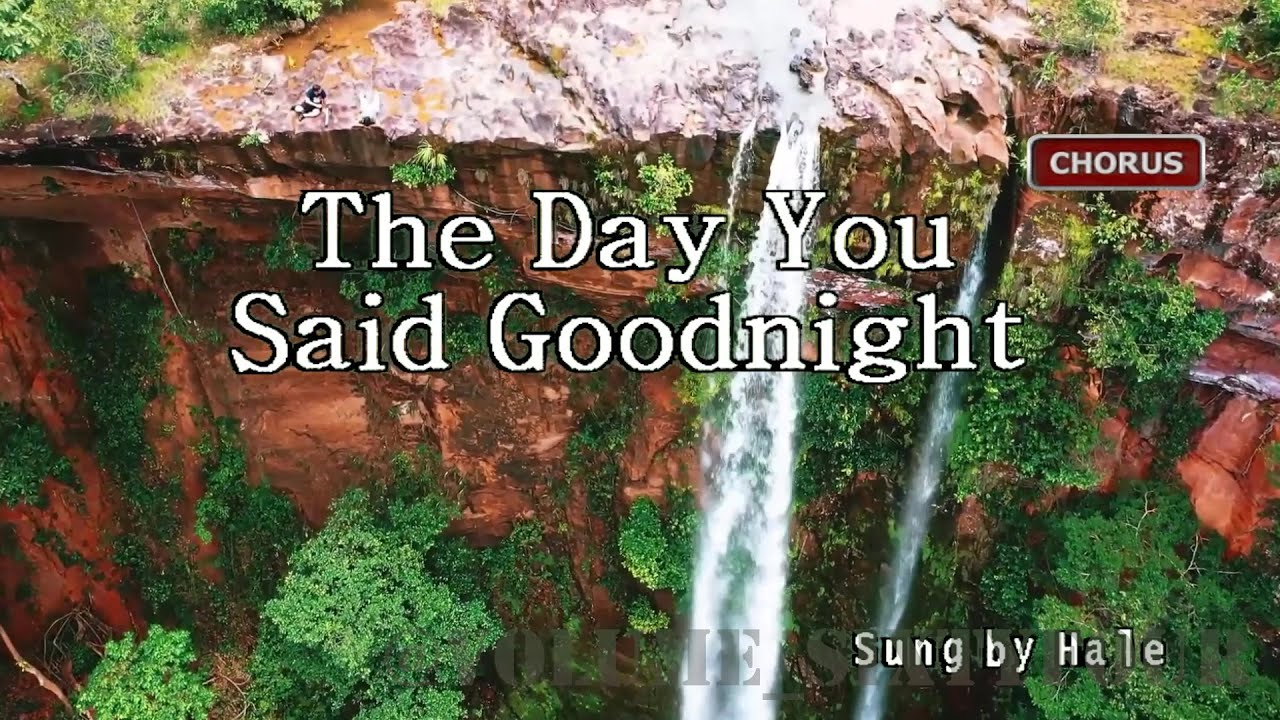 Hale - The Day You Said Goodnight || Karaoke/Lyrics/Instrumental - YouTube