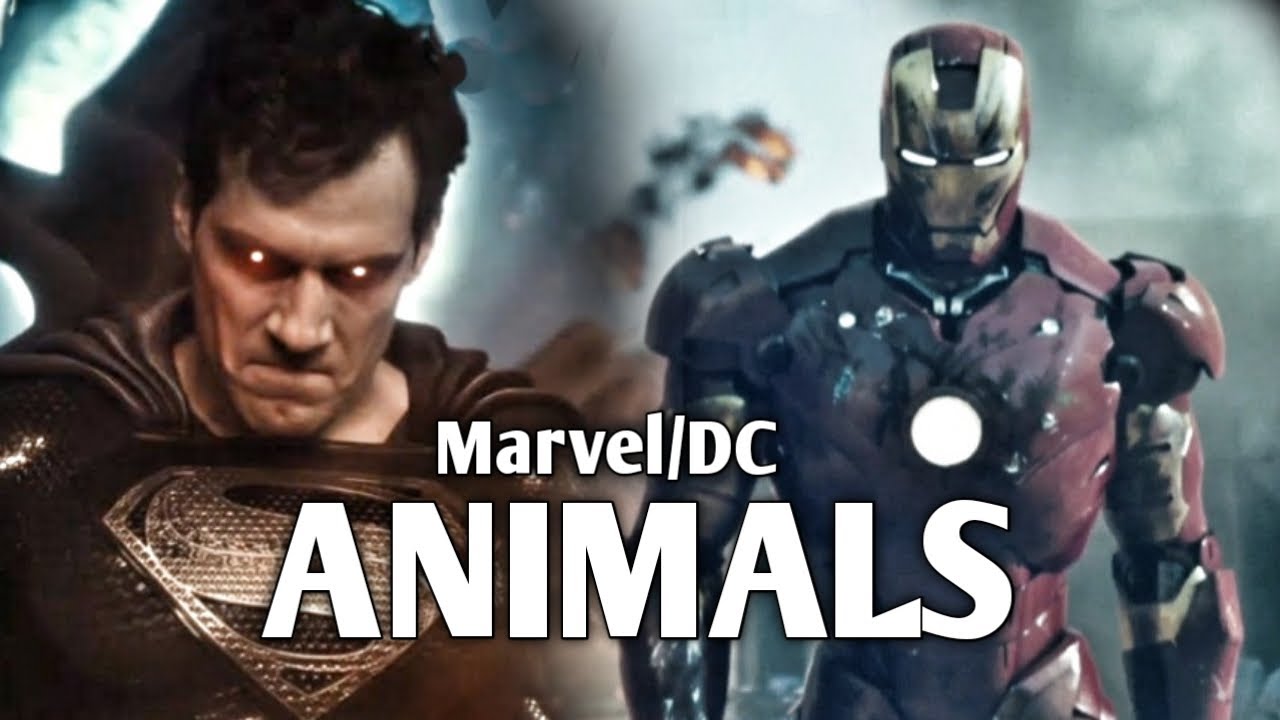 Marvel/DC | Animals - YouTube