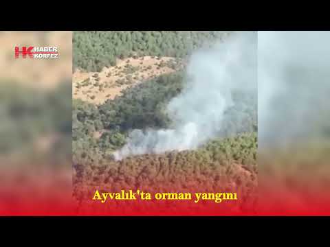 Ayvalık'ta orman yangını