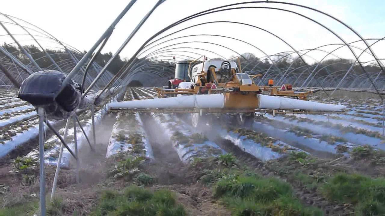 Strawberry Sprayer - YouTube