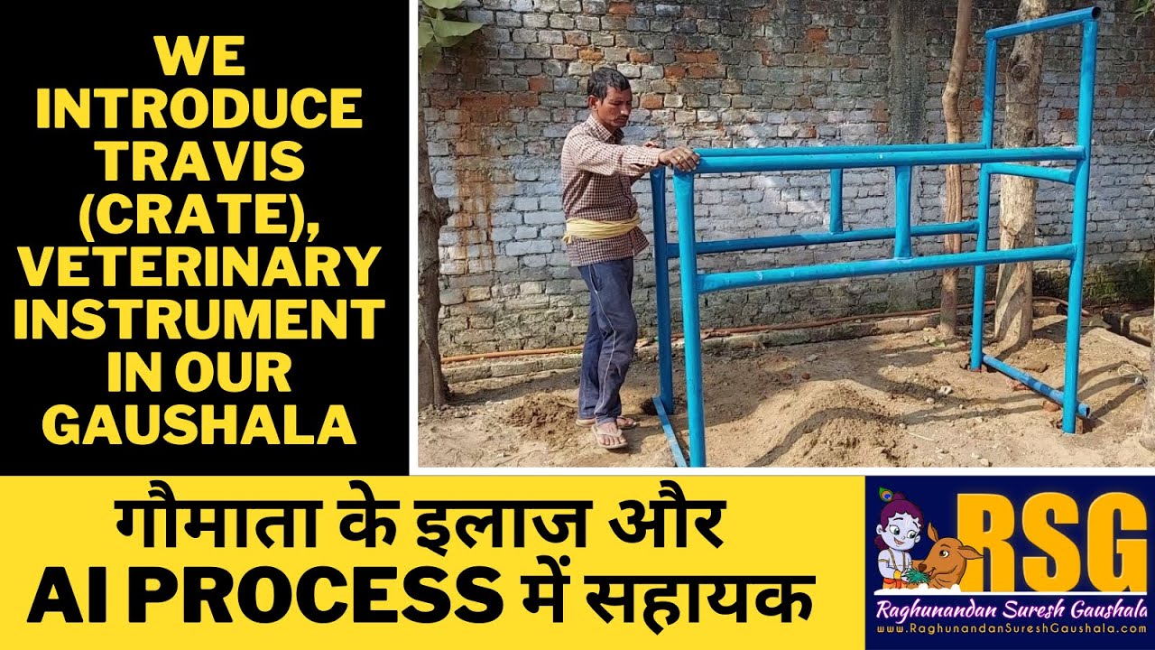 We introduce Travis (Crate), Veterinary Instrument in our Gaushala 🐄 ...