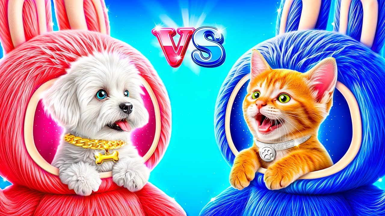 Cat vs Dog! Who Wins Ultimate Pet Challenge? - YouTube