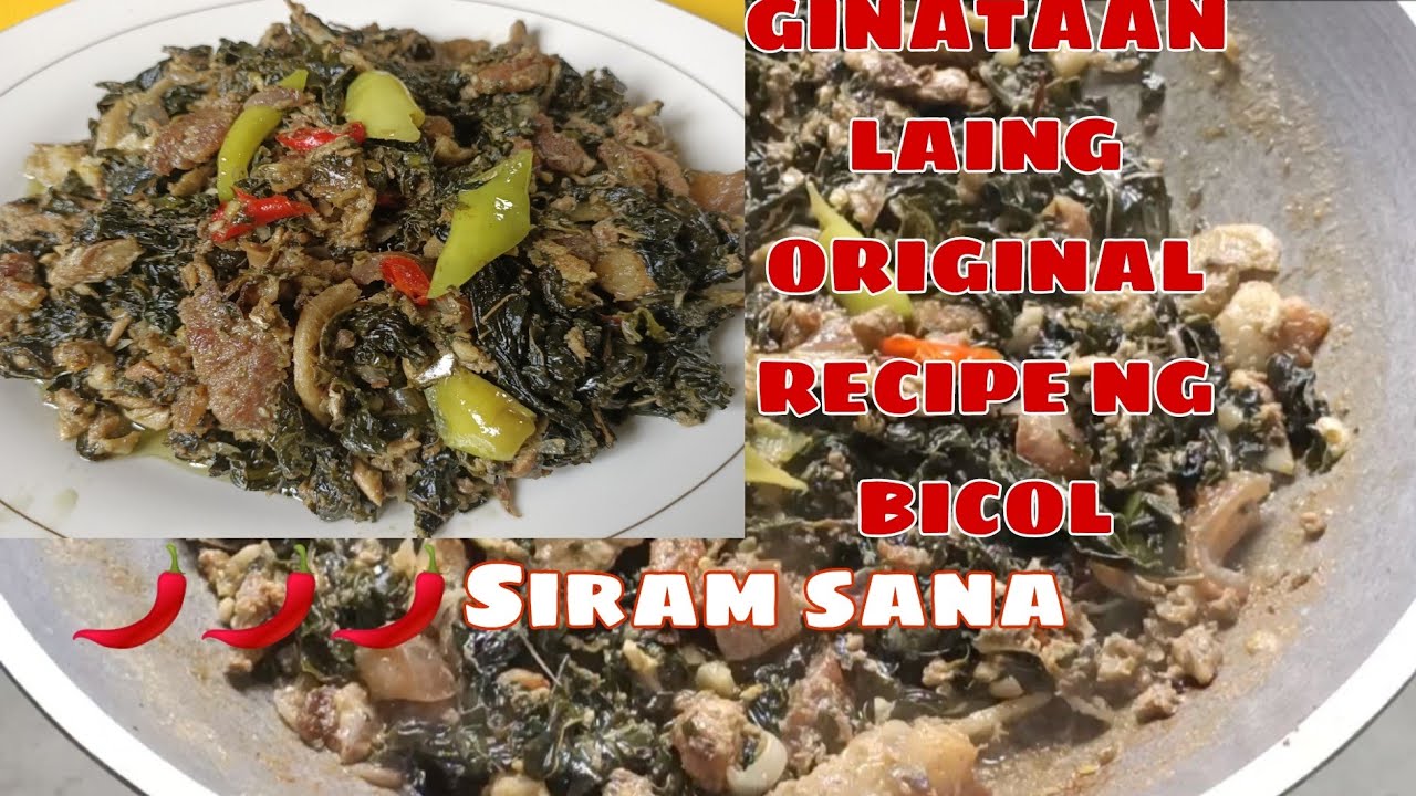 ORIGINAL RECIPE NG BICOL GINATAAN GABI OR LAING @sangkalantv #BICOL ...