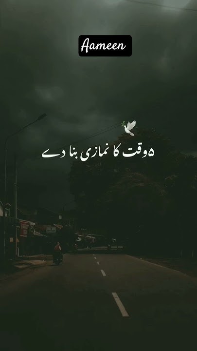 Aameen ️ Aameen - YouTube