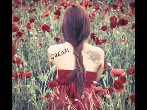 GÜLOM BEYAZ GÜVERCİN__________GÜLOM OY