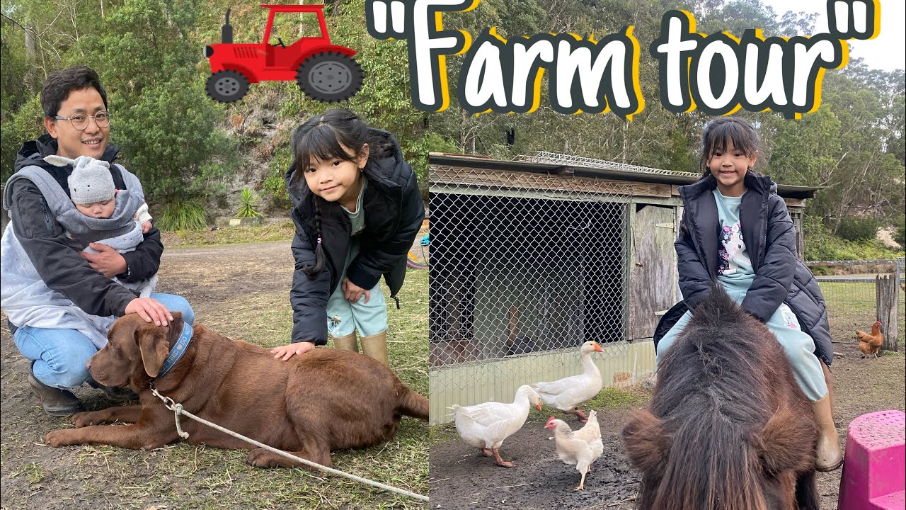 Part:2, first day at farm|| FARM TOUR ON A tractor|| - YouTube