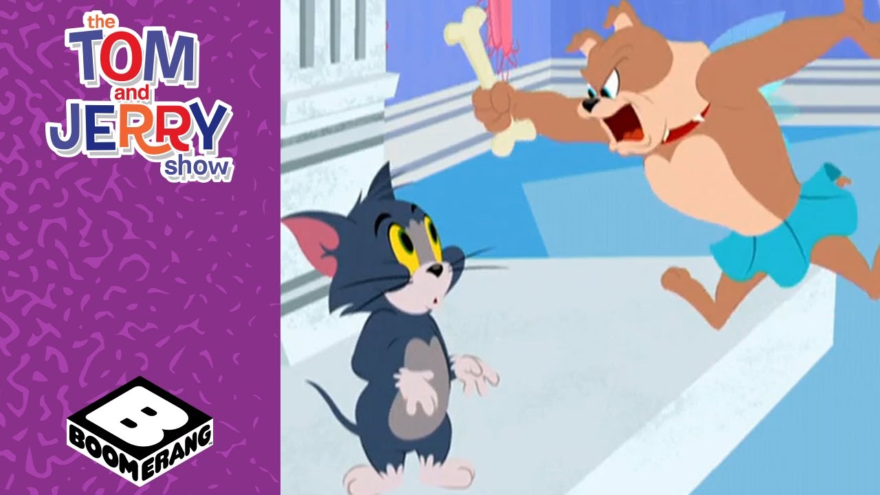 Tom's Mousey Transformation! | Tom and Jerry | @BoomerangUK - YouTube
