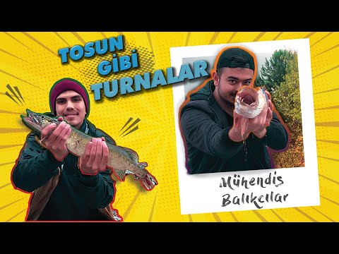 TOSUN GİBİ TURNALAR. SAPANCA GÖLÜNDE SLİKON İLE TURNA YAKALADIK!!
