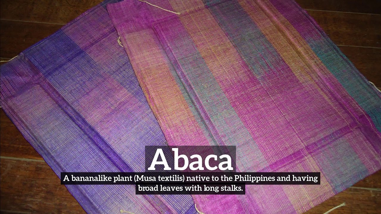 What Is Abaca How To Say Abaca In English How Does Abaca Look