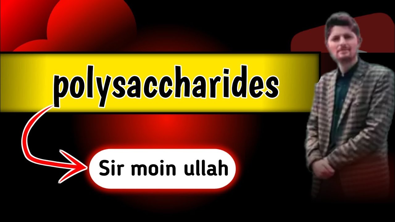 polysaccharide||glycogen||glycogen structure and function . - YouTube