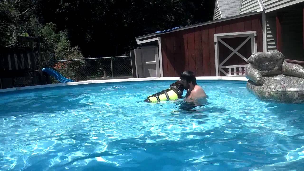 Jay jumps into pool with help - YouTube