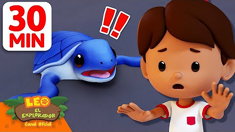 Nuevos Vídeos - Leo, El Explorador en Español - YouTube