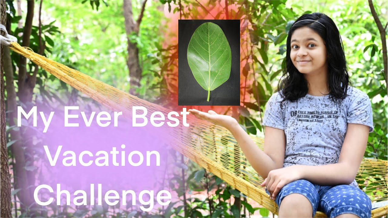My ever best vacation challenge | vacation challenge 2016 recap | Plant ...