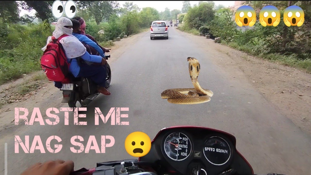 raste me nag sap aa gya 😱 || korba to Bilaspur || #korba #bilaspur # ...