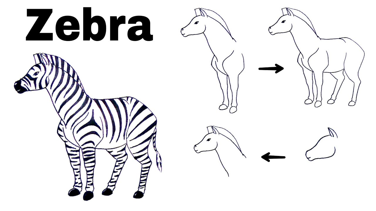 CARA MUDAH MENGGAMBAR ZEBRA - YouTube