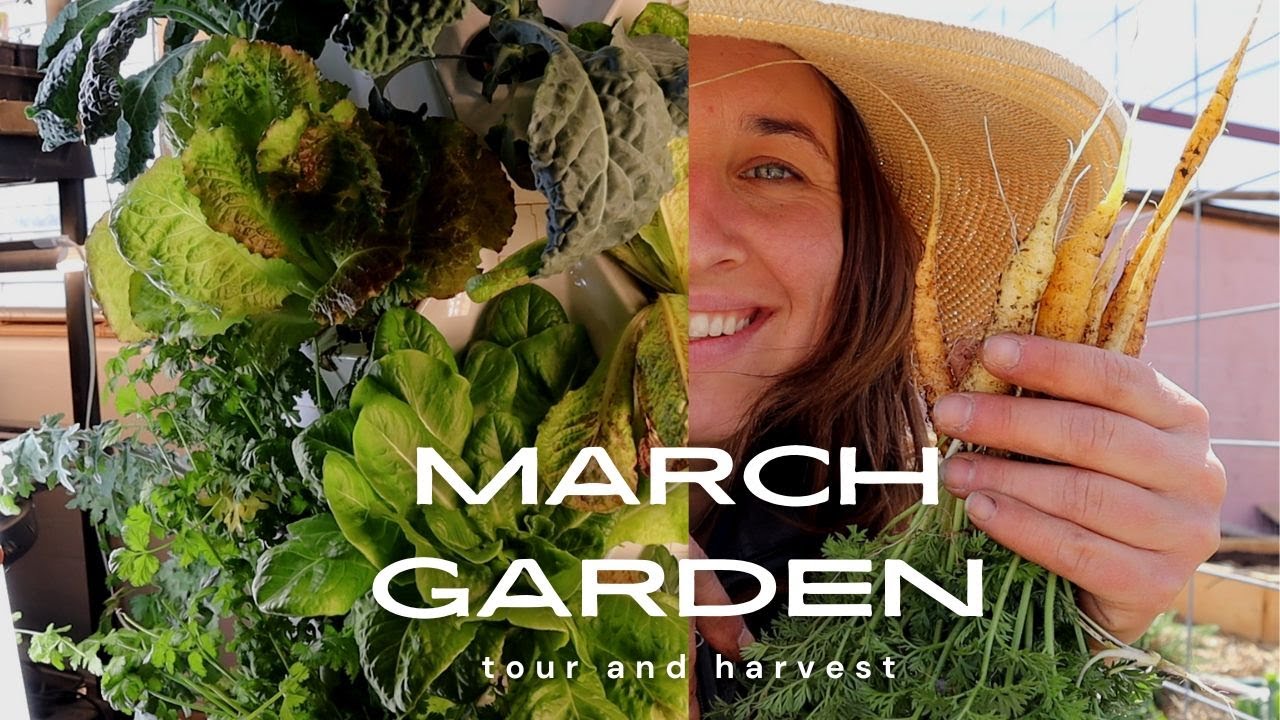 March Garden Tour | What's Growing | Spring Garden Harvest - YouTube