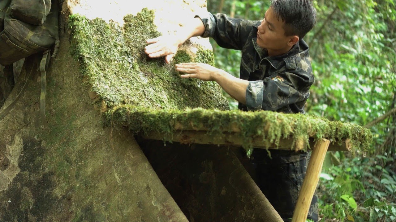 30 days of survival in the forest under a big tree looking for food to ...