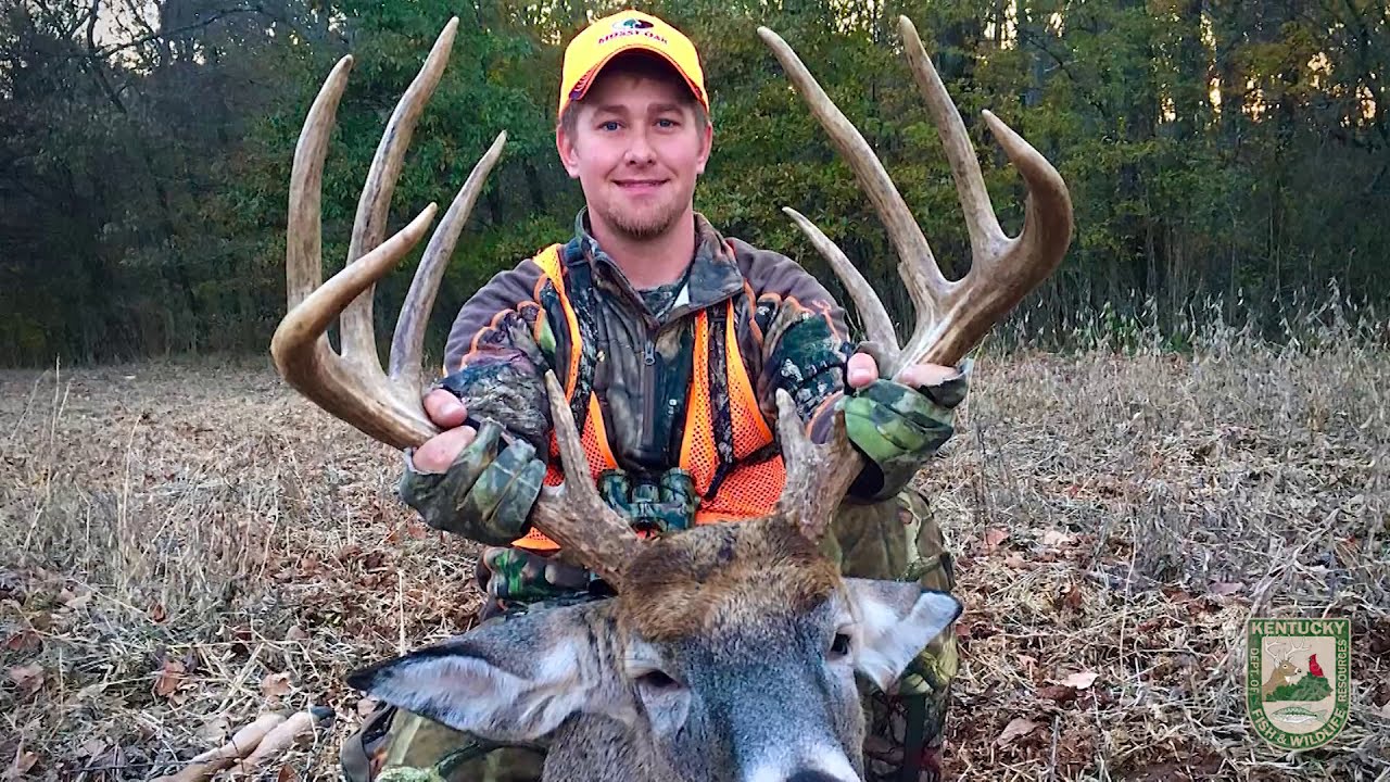 Full How-To DIY European Mount for Deer - YouTube