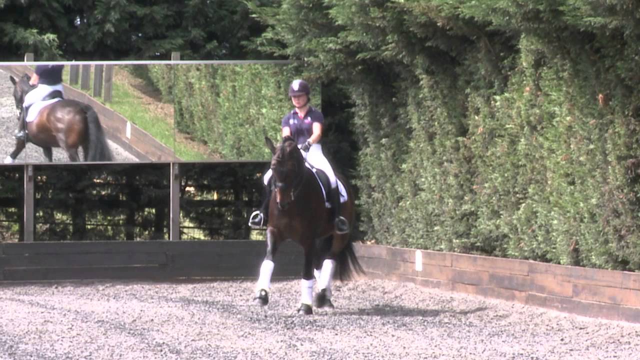 medium extended trot - YouTube