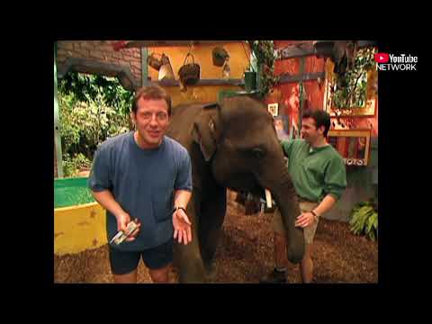 Zoboomafoo | S1 EP1 | The Nose Knows (1999) (Series Premiere) (YouTube Network Airing)