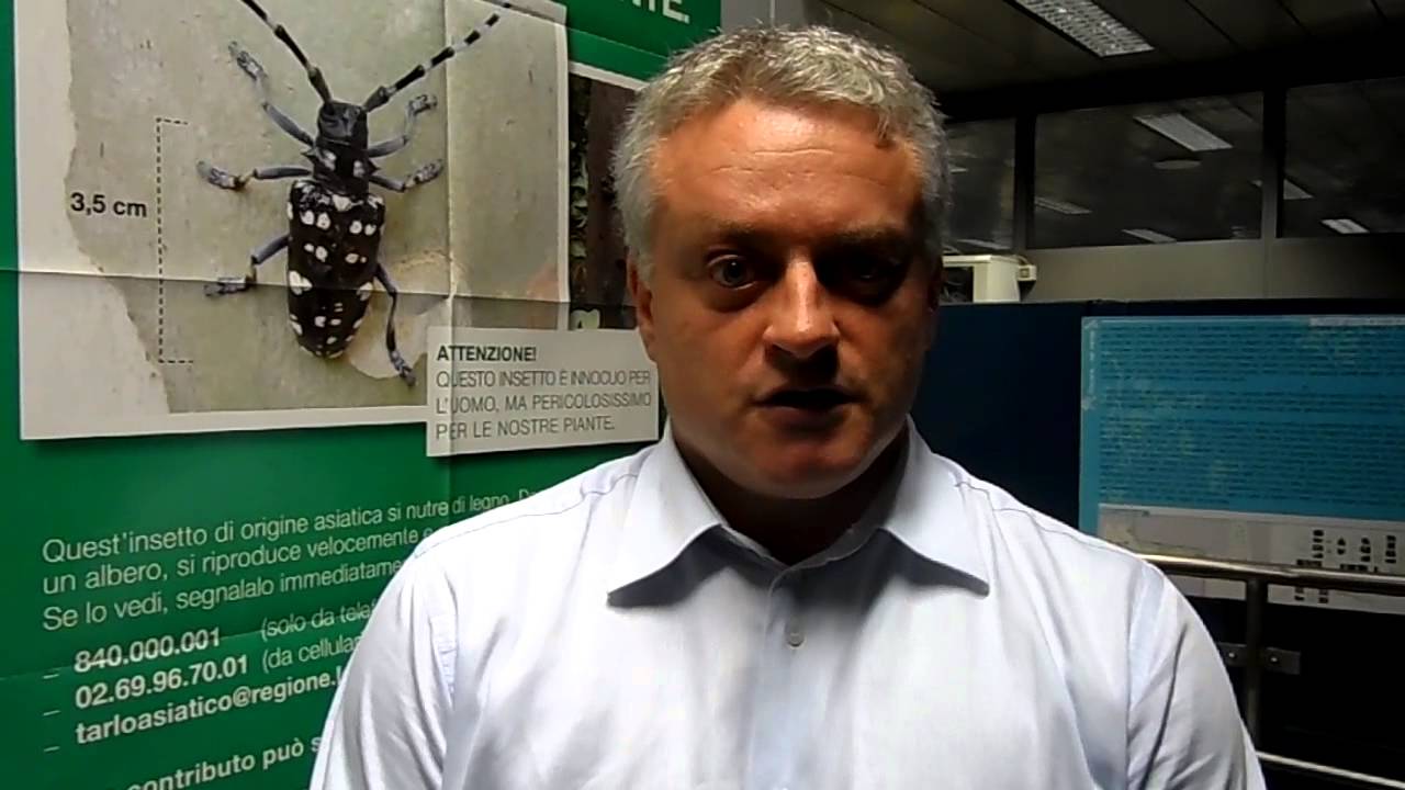 Saronno Alberto Paleardi sull'inquinamento del Lura.MP4 - YouTube