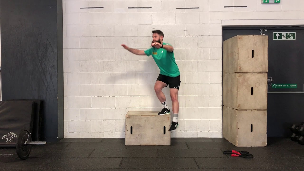 Single Leg Box Step Ups - YouTube