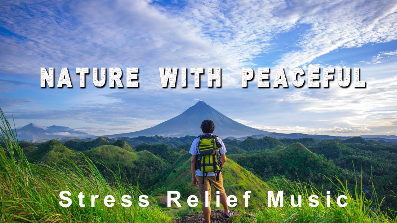 Amazing #Trees & #Nature Scenery with Relaxing Music for Stress Relief ...