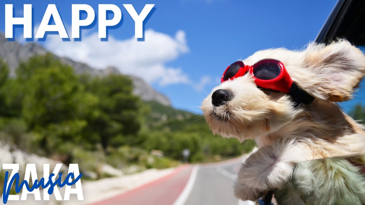 Free Happy Uplifting Music and Cheerful Instrumental Music | Gypsy ...