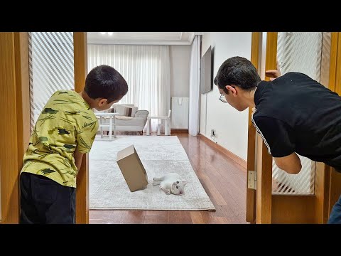 Salonda Yürüyen Kutu Var. Walking Box in The Hall Fun Kids Video