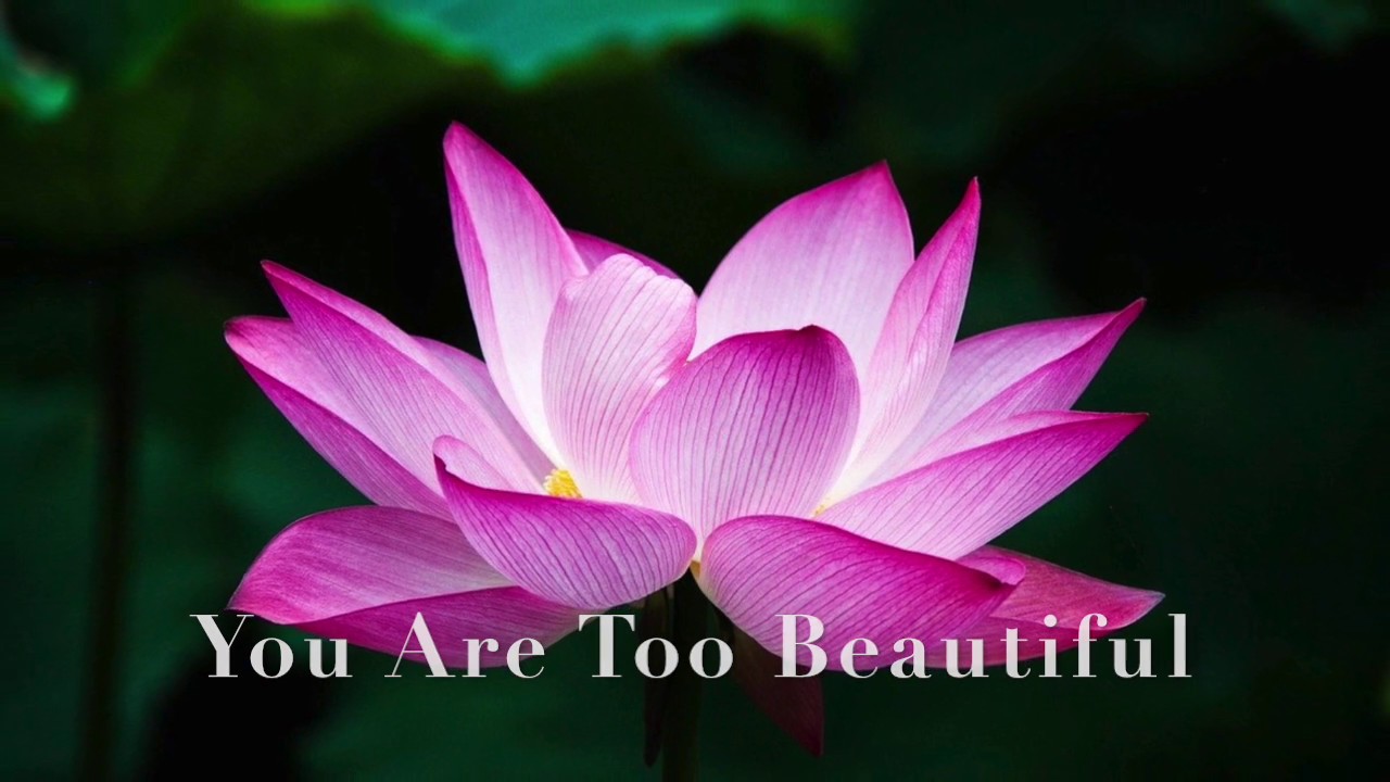 You Are Too Beautiful - Backing + music sheet - YouTube