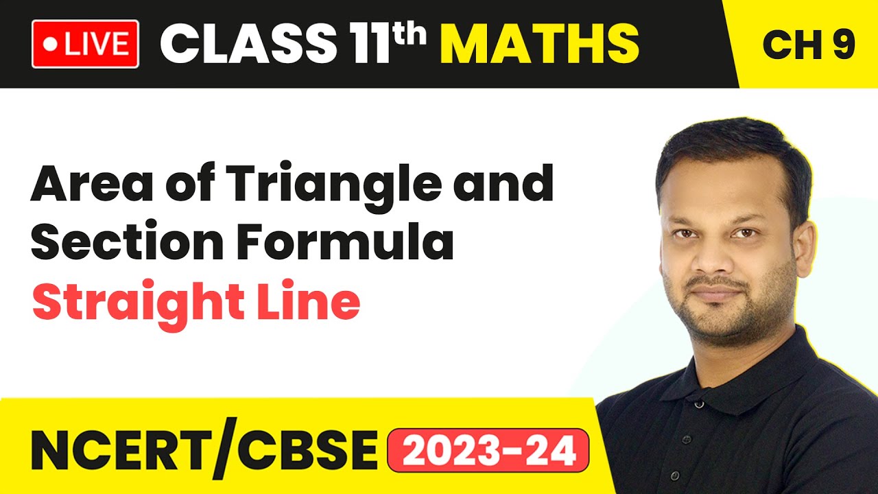 Area of Triangle and Section Formula - Straight Line | Class 11 Maths ...