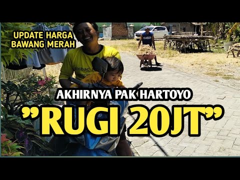 AKHIRNYA PAK HARTOYO RUGI 20JT | UPDATE HARGA BAWANG MERAH BJM CHANNEL ...