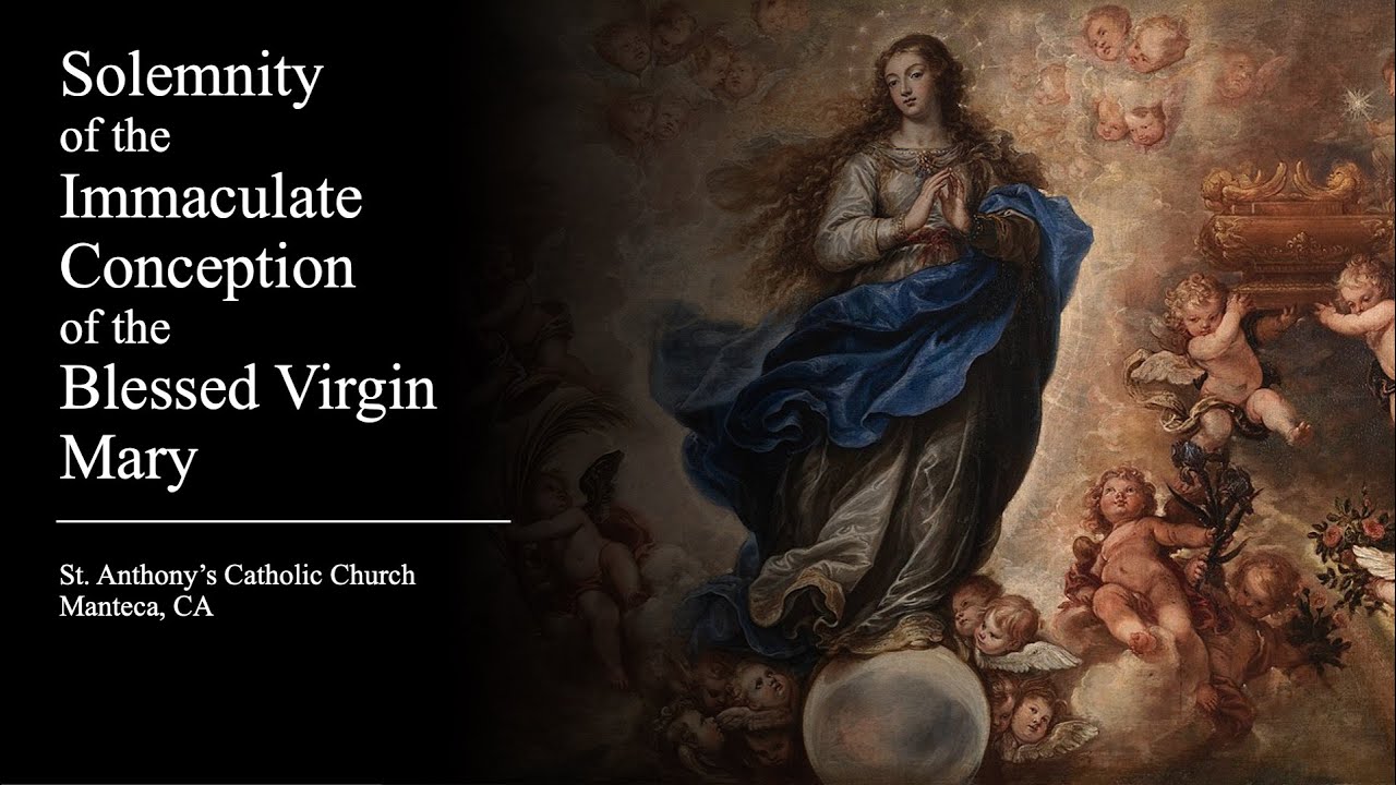 Immaculate Conception of the Blessed Virgin Mary - December 8, 2022 ...