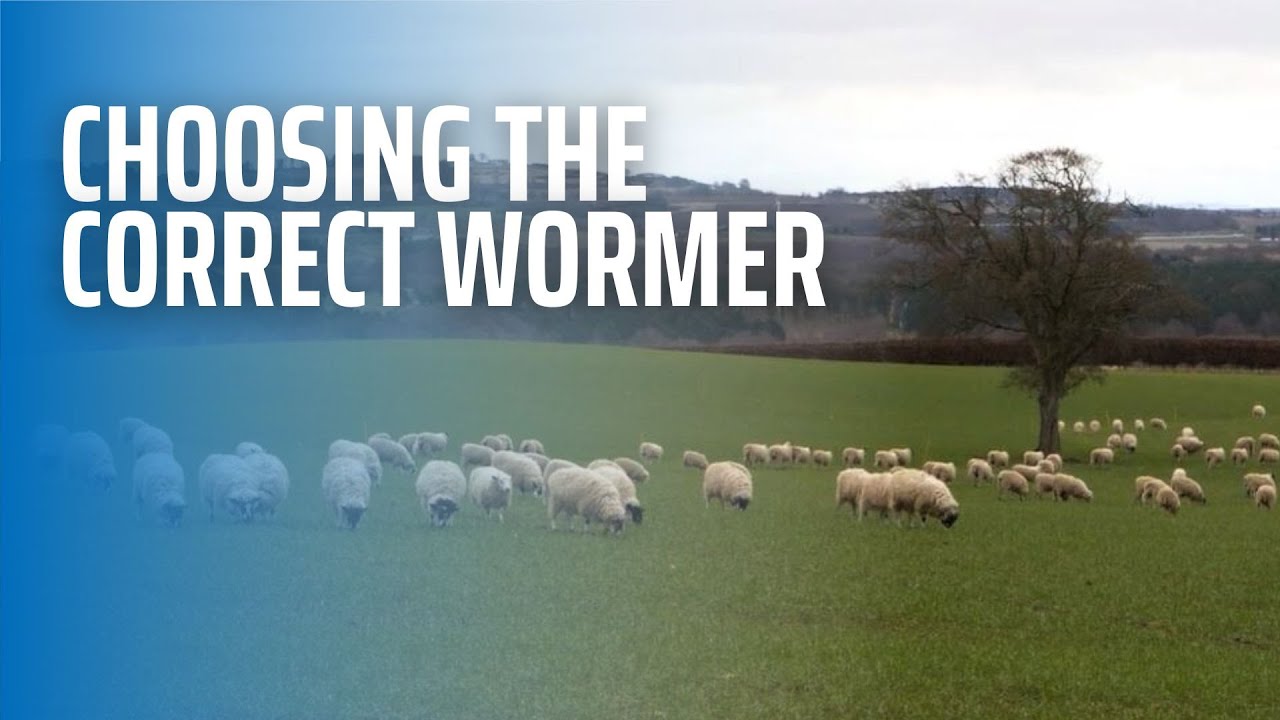 Choosing the Correct Wormer - YouTube
